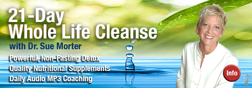 Dr. Sue Morter — Bridging Science, Spirit & Human Possibility